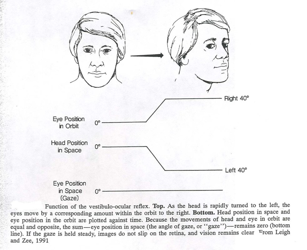 Vestibular Testing | Seattle Dizzy Group