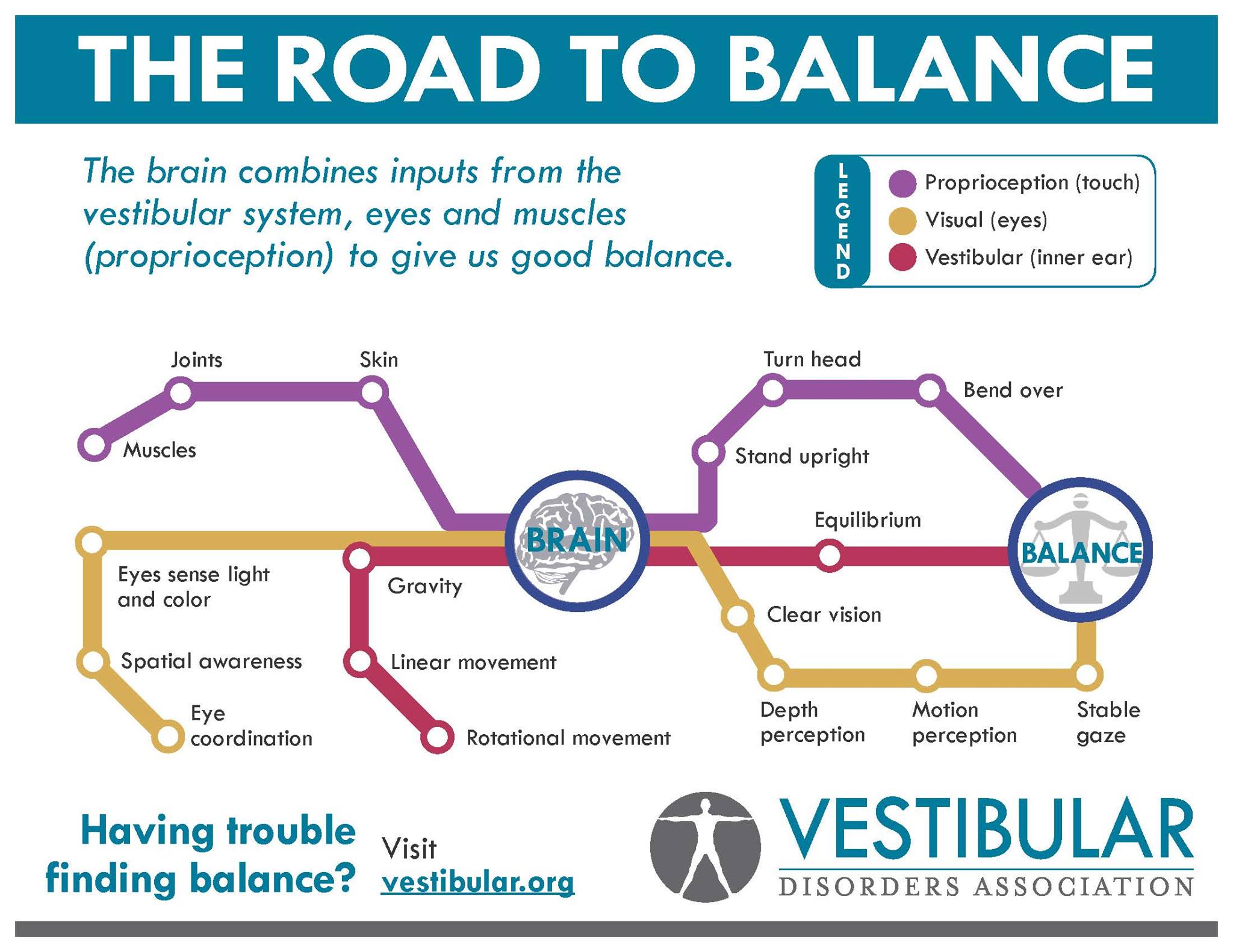 Celebrate Balance Awareness Week | Seattle Dizzy Group