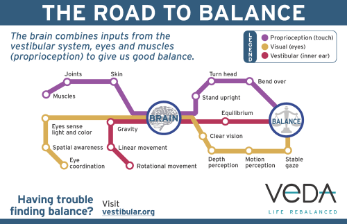 Balance and Falls Prevention Awareness | Seattle Dizzy Group